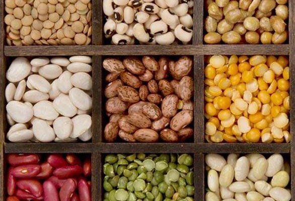 KOJE SU NAJBOLJE MAHUNARKE I KAKO IH KUHATI?