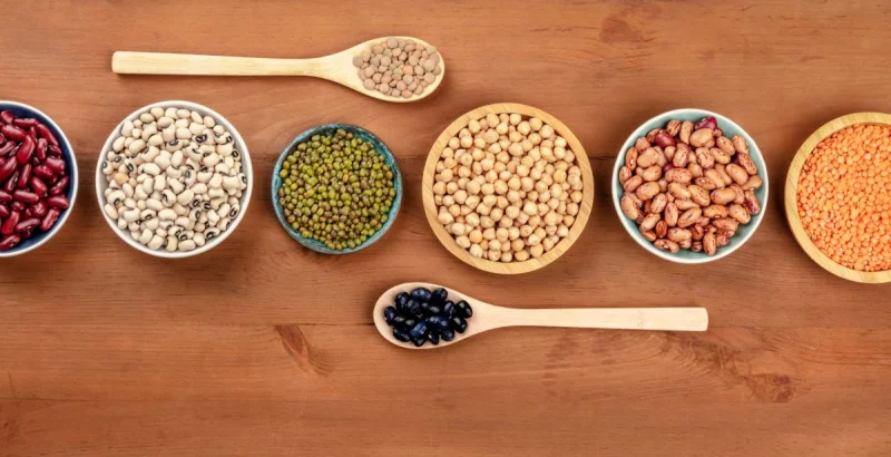 Tvornica Zdrave Hrane | Jer zdravlje je bitno